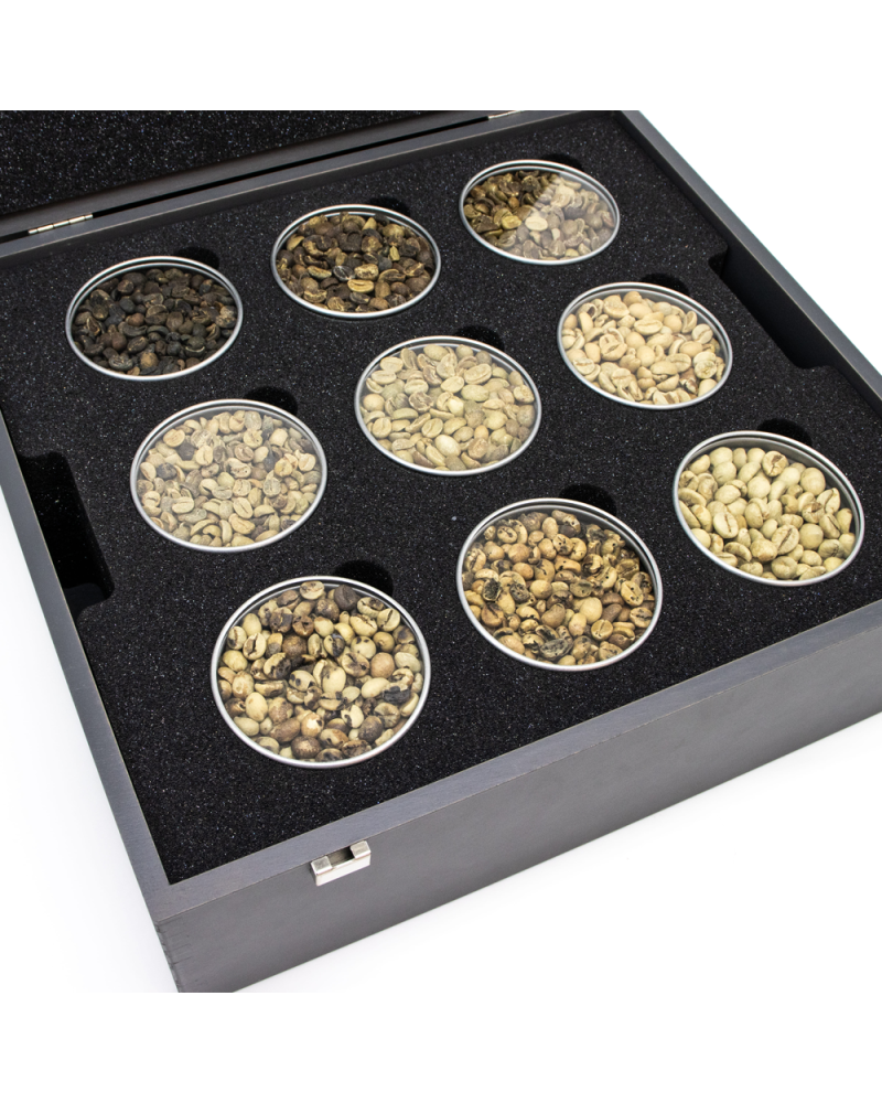 Coffee Defect Sample Set | Coffee Lab| Complementosdelcafe.com