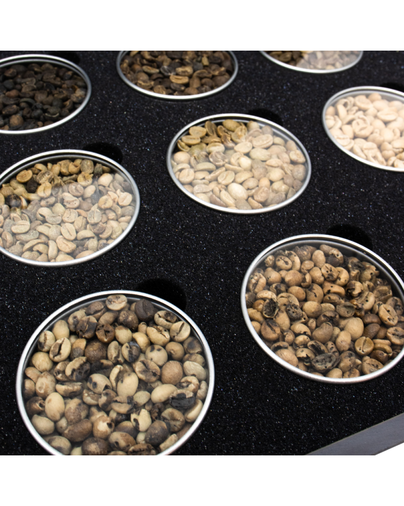 Coffee Defect Sample Set | Coffee Lab| Complementosdelcafe.com