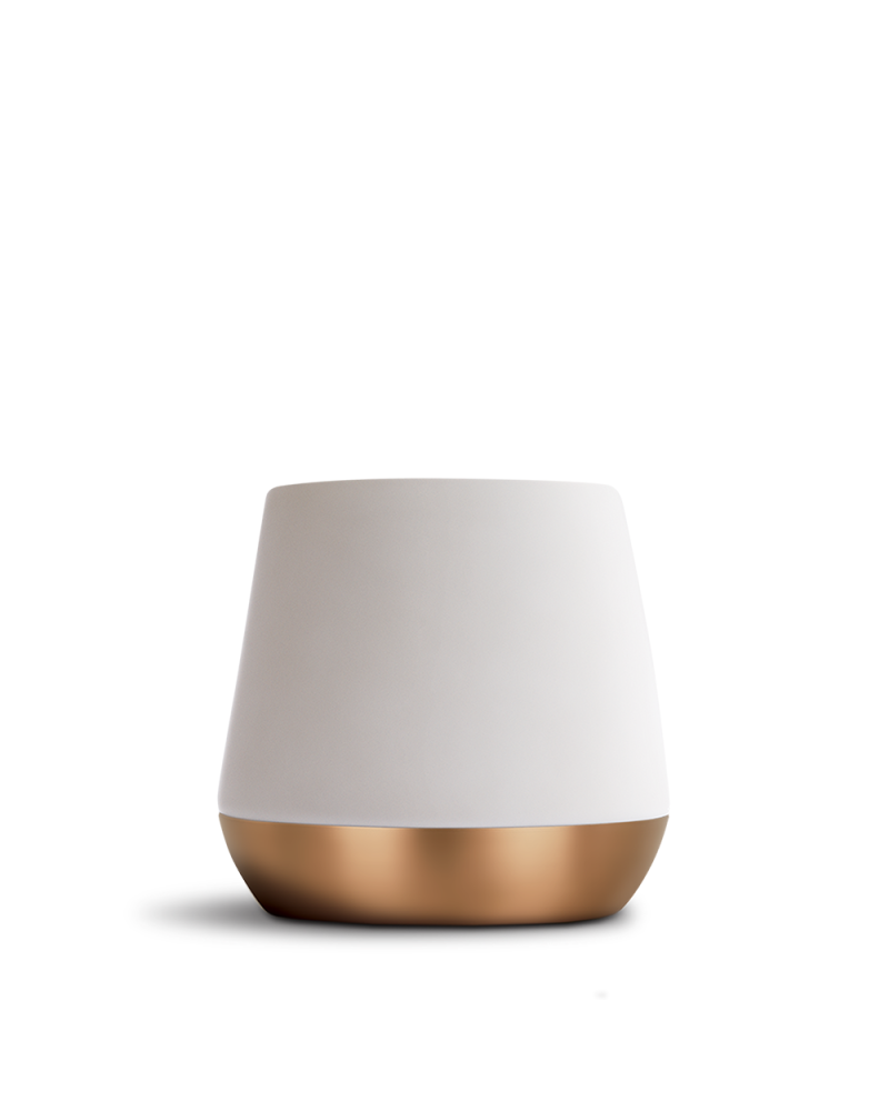 Fellow Big Joey Mug 12oz Matte White | Complementosdelcafe.com