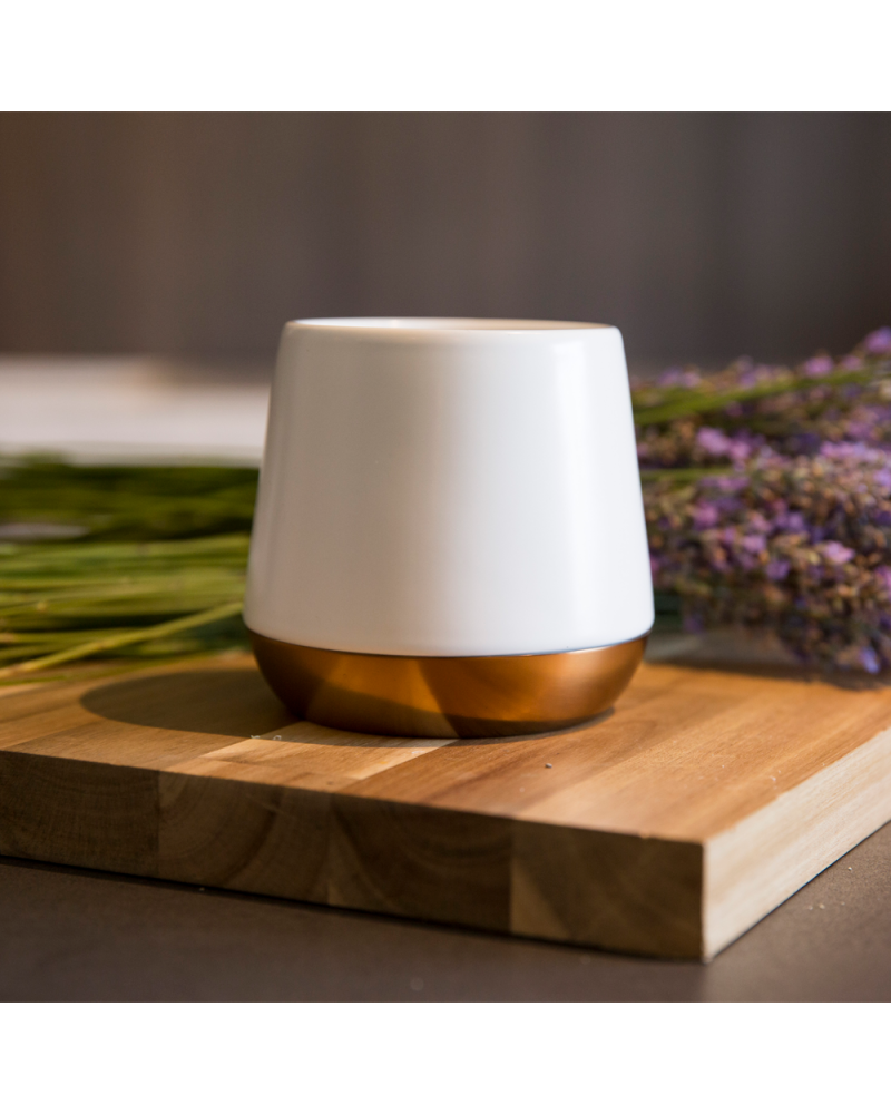 Fellow Big Joey Mug 12oz Matte White | Complementosdelcafe.com