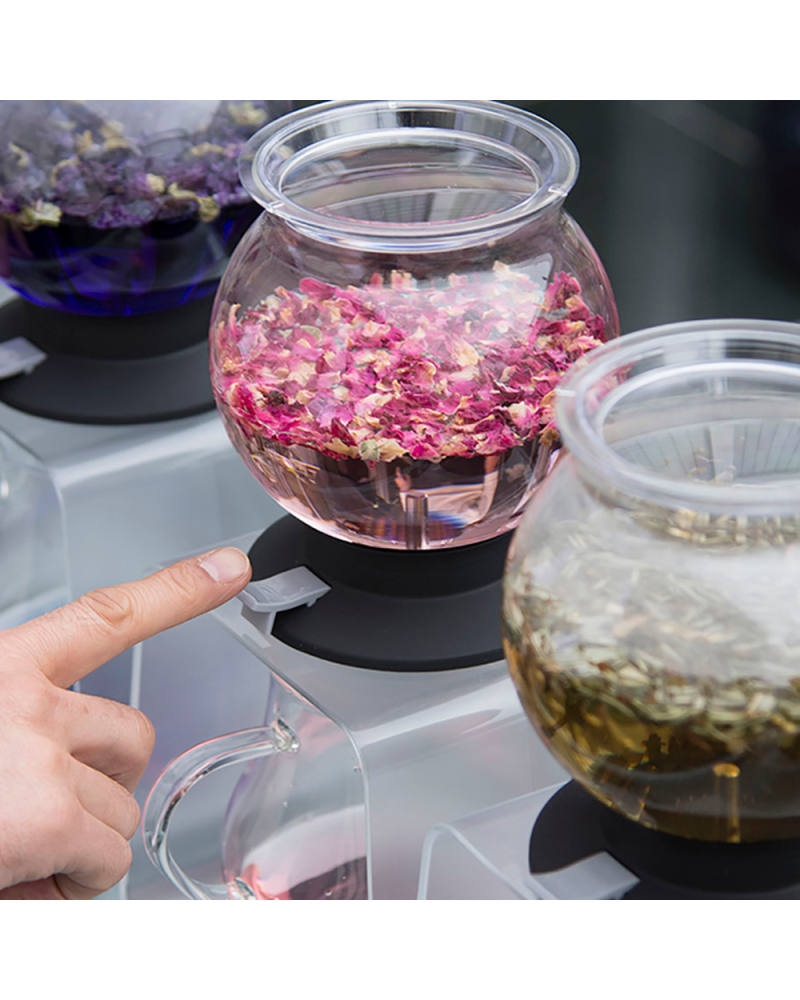 Hario Tea Dripper Largo 800ml Head | Complementosdelcafe.com