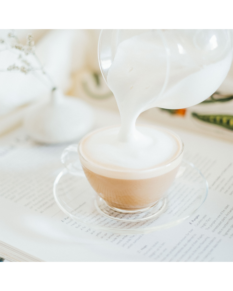 Hario Espumador de Leche Qto | Complementosdelcafe.com