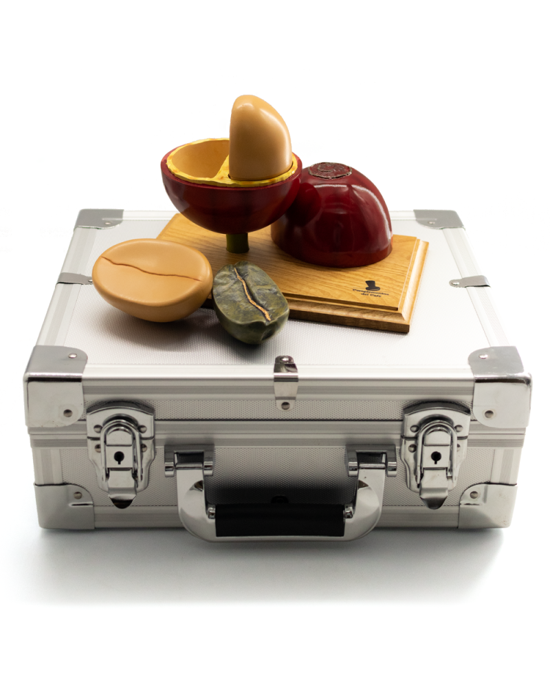 3D Coffee Bean Model | Complementos Del Café