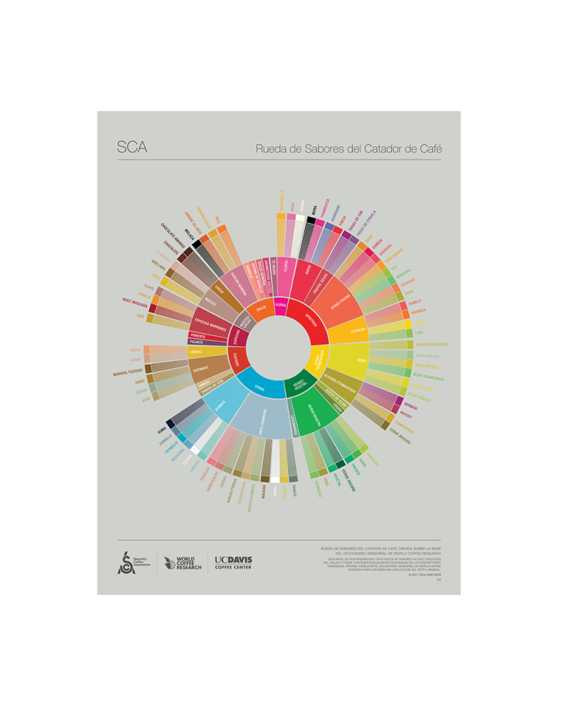 Flavor Wheel Poster (Spanish) | SCA | Complementos del Café