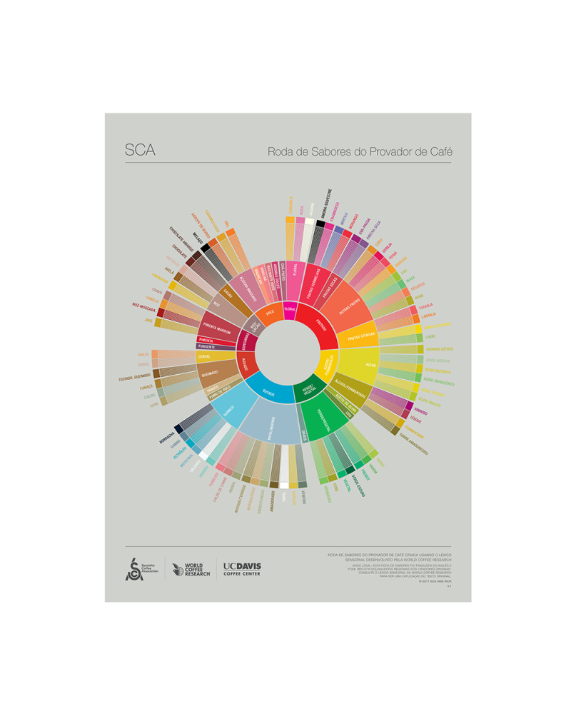 Flavor Wheel Poster (Portuguese) | SCA | Complementos del Café