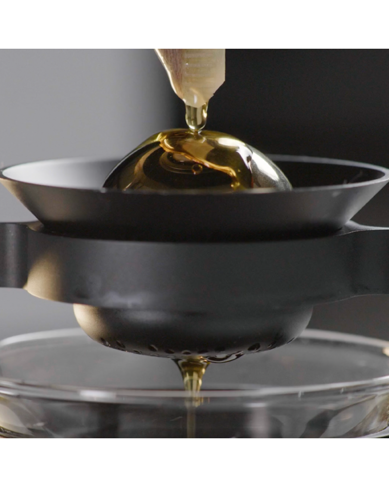 Paragon Para Café de Filtro V2 | Nucleus Oficial